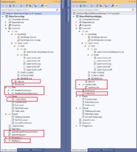 The difference in Blazor Server and WebAssembly Application