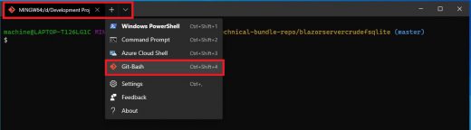 How to add Git Bash to Windows Terminal Application