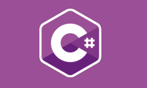 Top 7 Programming Languages to Focus on in 2021